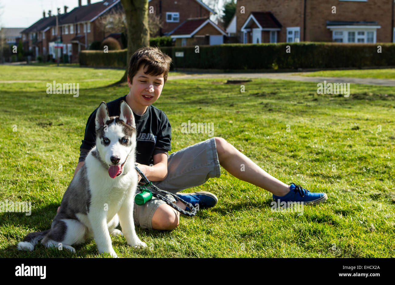 boy siting with his husky puppy after playing in the park Stock Photo ...