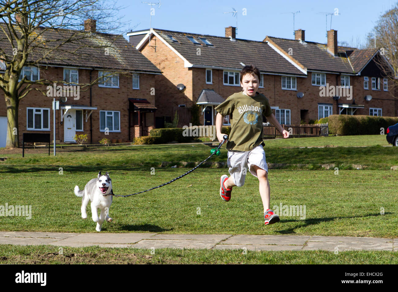 Getting some exercise with his puppy Stock Photo - Alamy