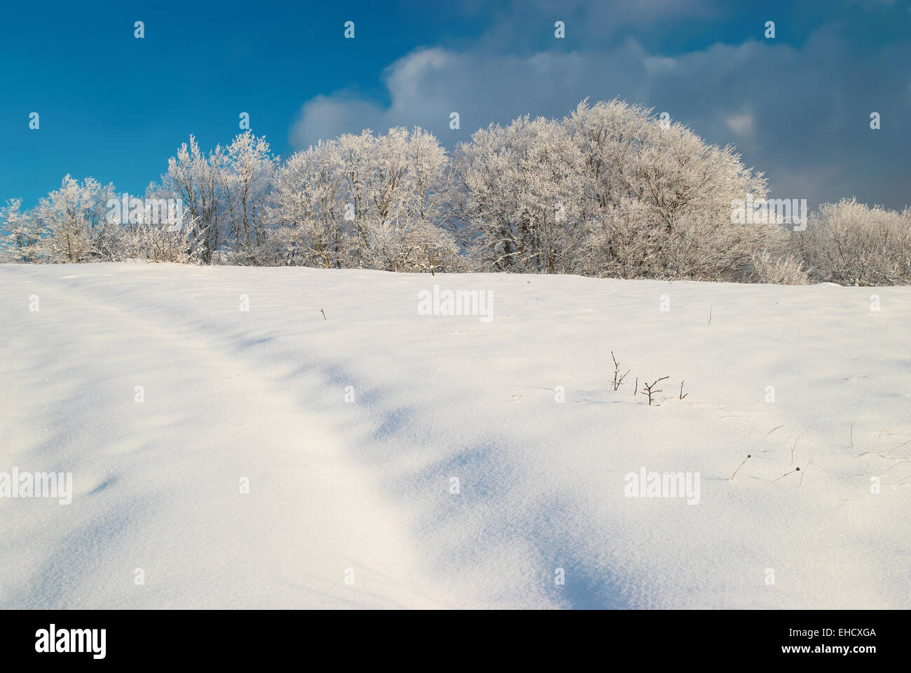 Winter icy landscape with bright shining day Stock Photo - Alamy