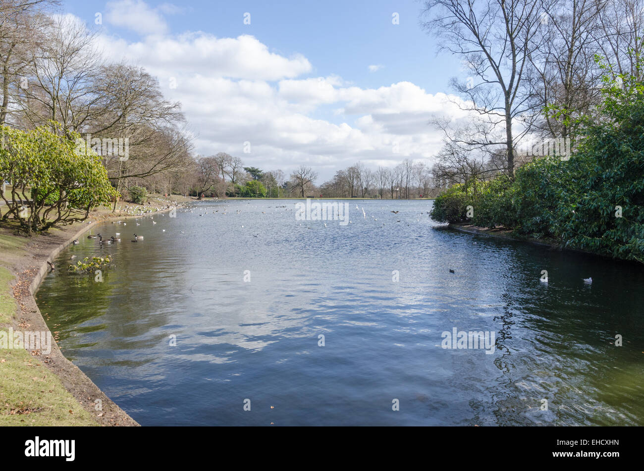 The pool at Swanshurst Park in Moseley, Birmingham Stock Photo - Alamy