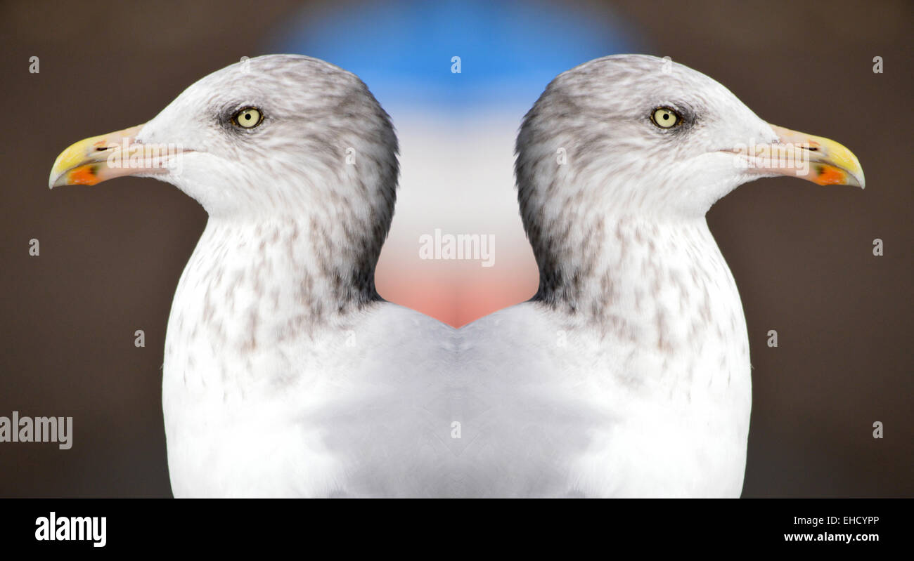 The gull ways hi-res stock photography and images - Alamy