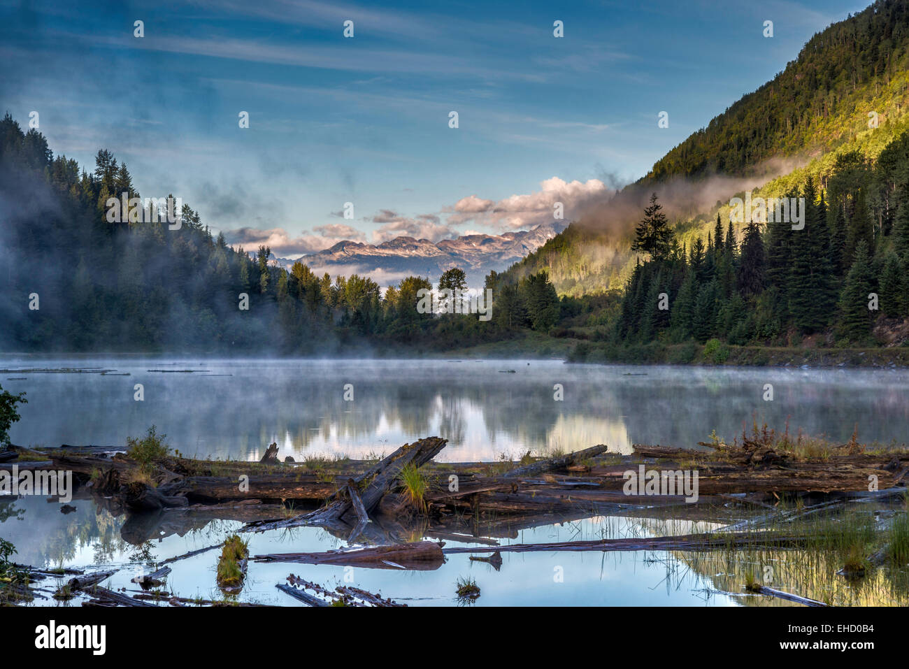 Driftwood at Bear Lake, Valhalla Provincial Park mountains in far ...