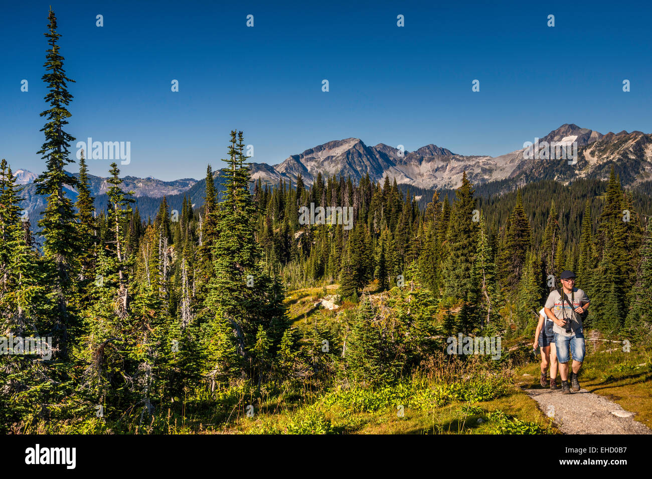 Selkirk Mountains, hikers on trail, view from South Parapet viewpoint ...