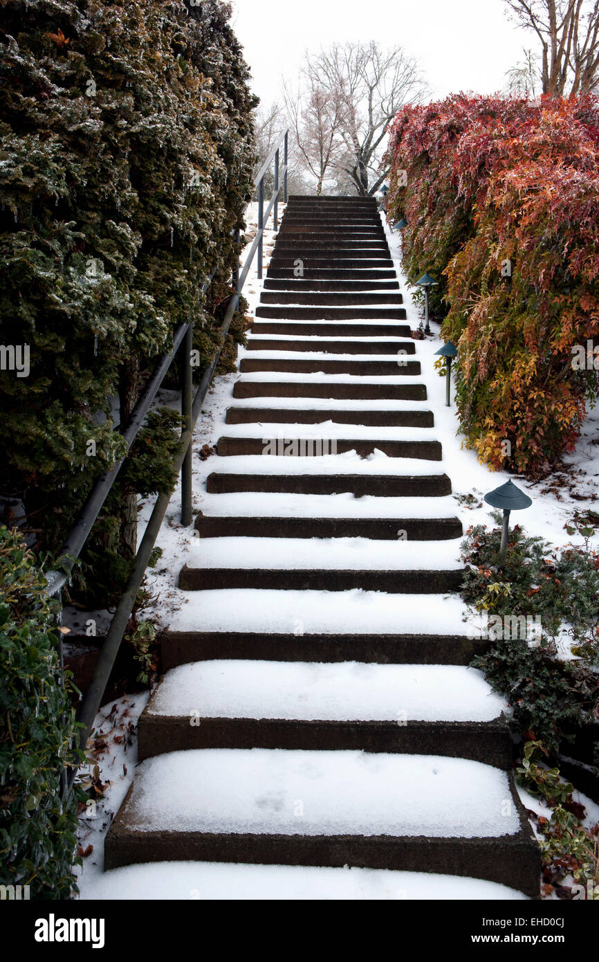 Snowy Stairs - Brevard, North Carolina USA Stock Photo - Alamy