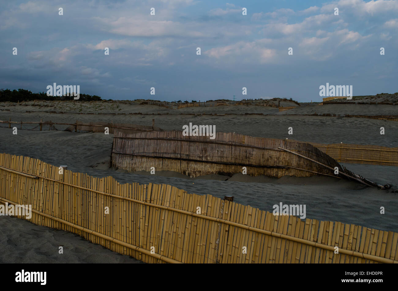 battered, falling, wave breakers line the beach many km inland in ...