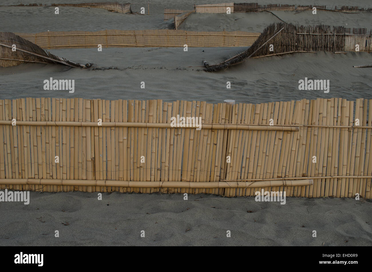 bamboo wave breaker on the beach in Honshu Japan Stock Photo - Alamy