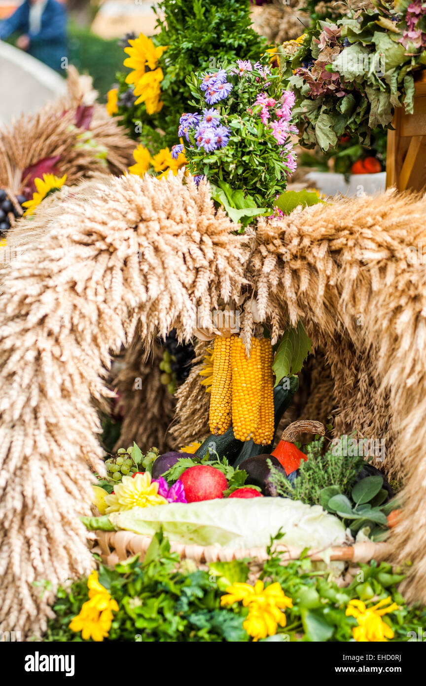 Corn bouquet hi-res stock photography and images - Alamy