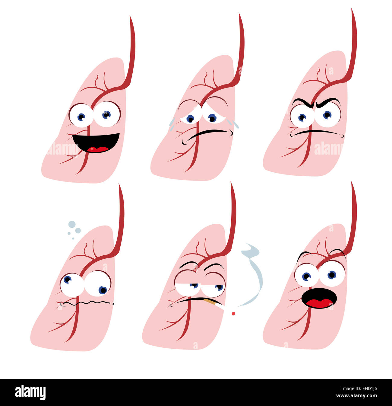 a vector cartoon representing a funny lung in different poses Stock ...