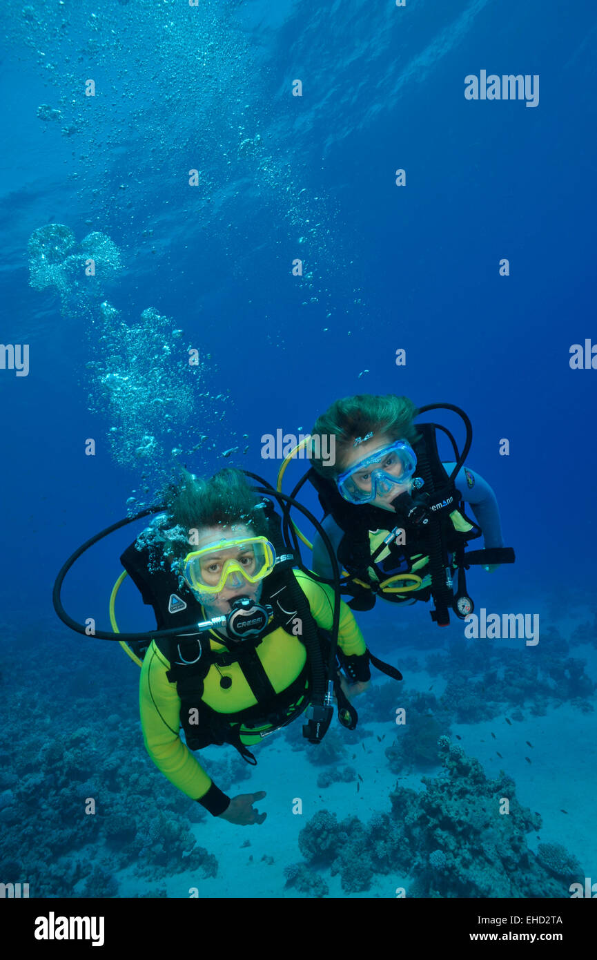Mother and son diving Stock Photo - Alamy