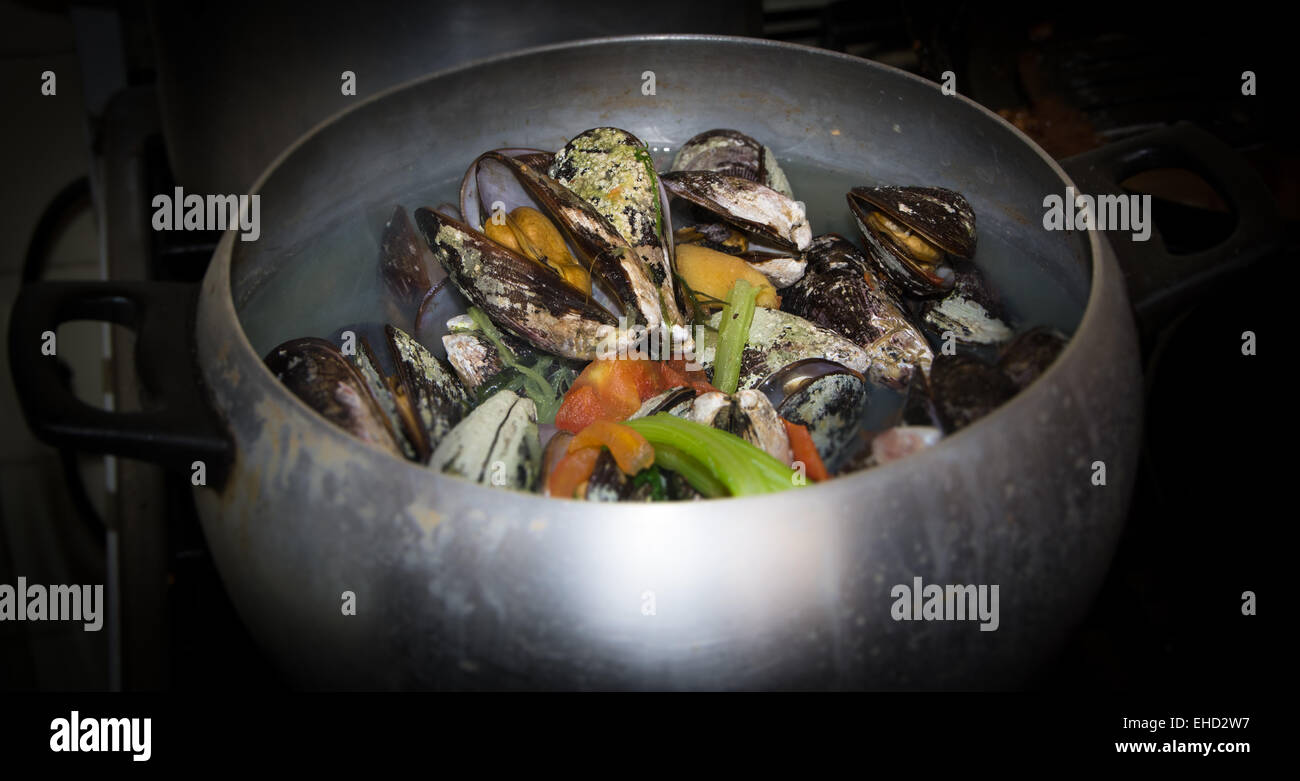 Preparing Traditional Peruvian Dish of Conchas Negras (Mangrove Cockle ...