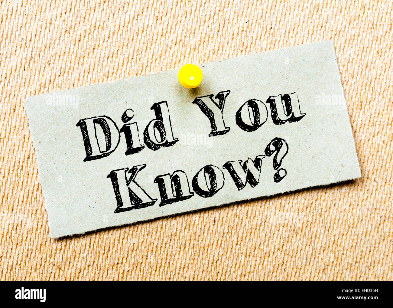 Recycled paper note pinned on cork board. Did You Know Message. Concept ...