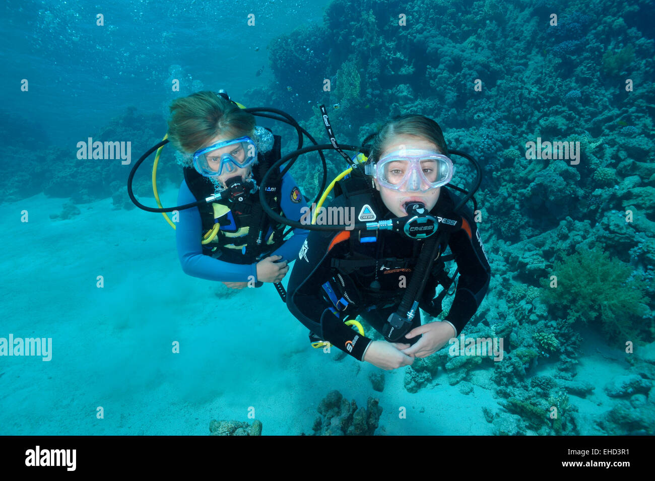 Two children diving Stock Photo - Alamy