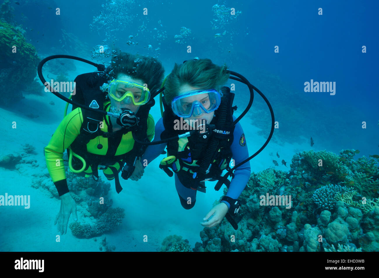 Mother and son diving Stock Photo - Alamy