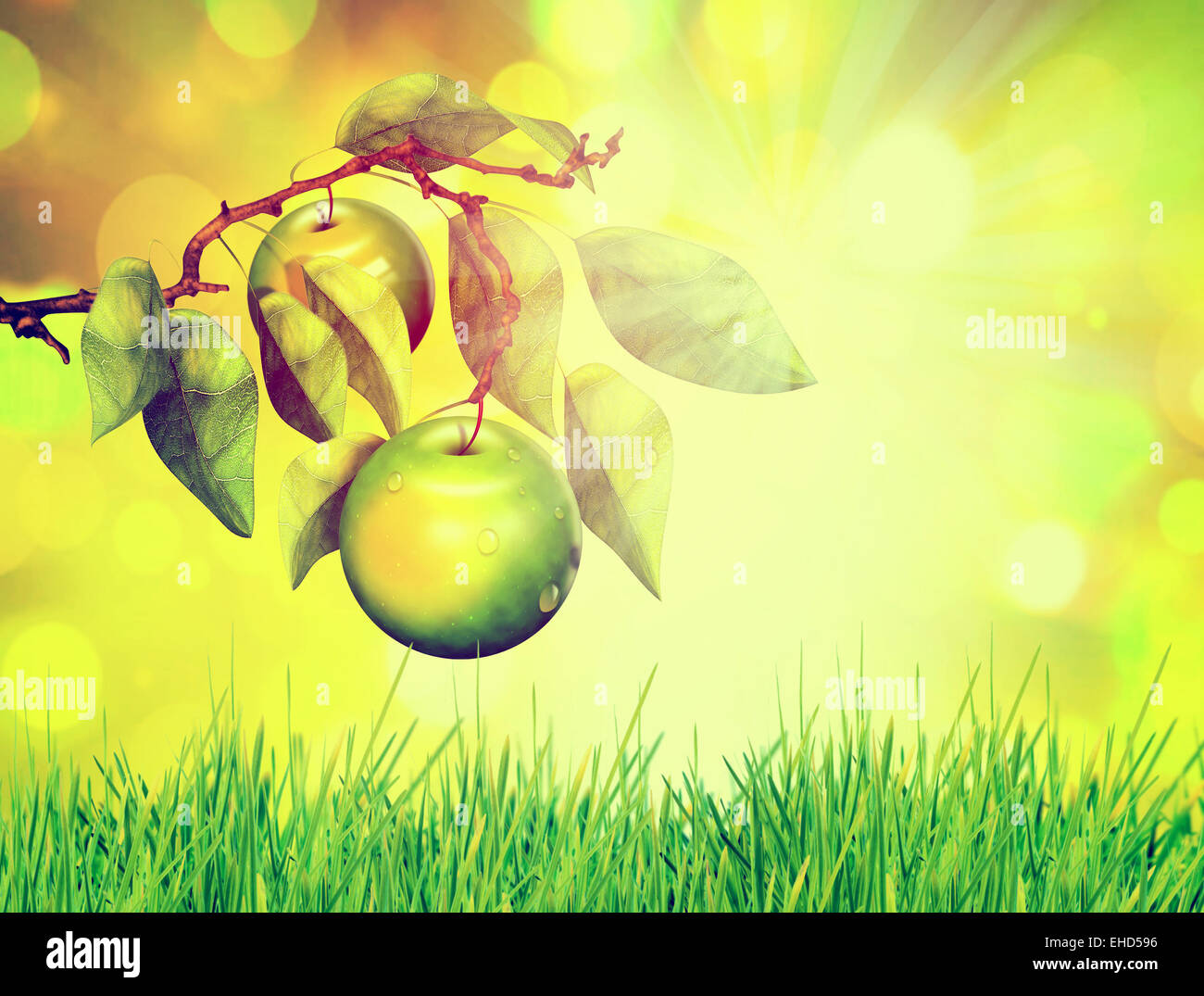 Apple on tree branch, over spring natural green background Stock Photo ...