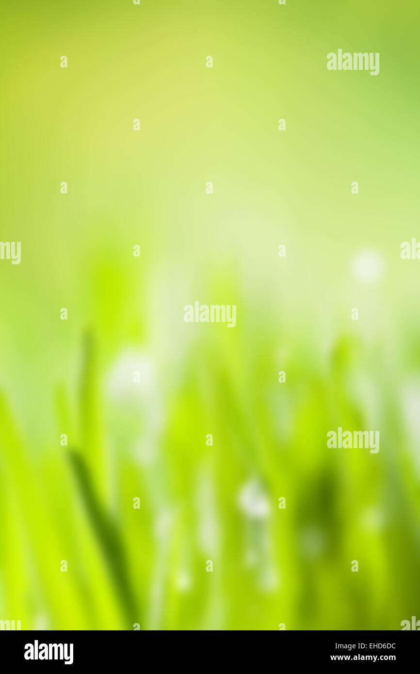 Abstract green blur background Stock Photo - Alamy