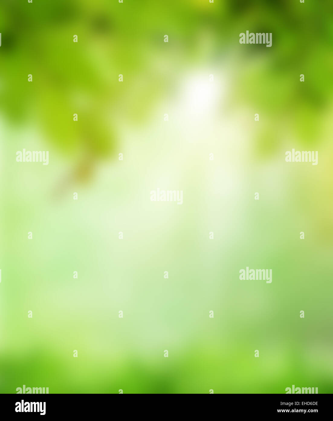 Abstract green blur background Stock Photo - Alamy