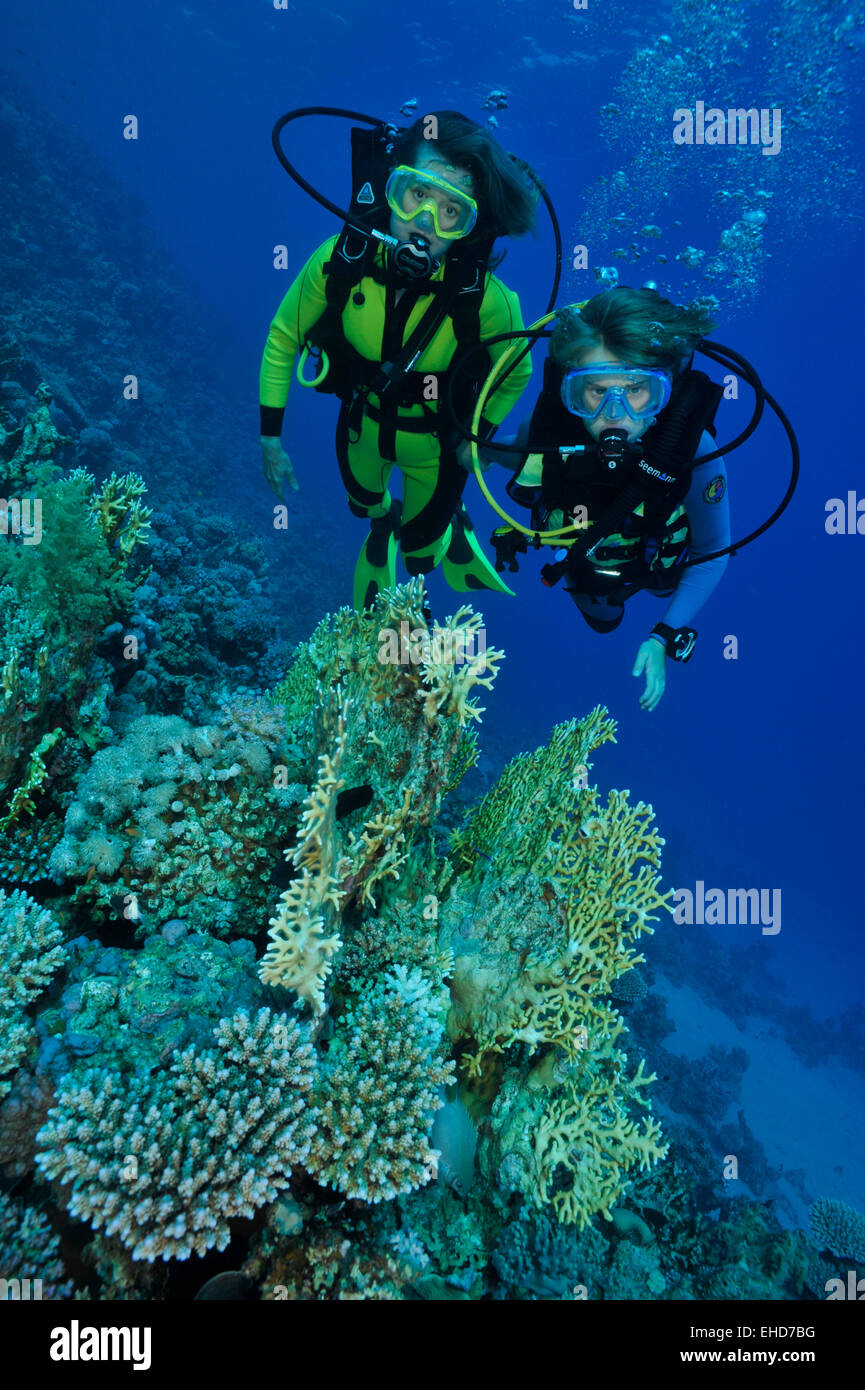 Mother and son diving Stock Photo - Alamy