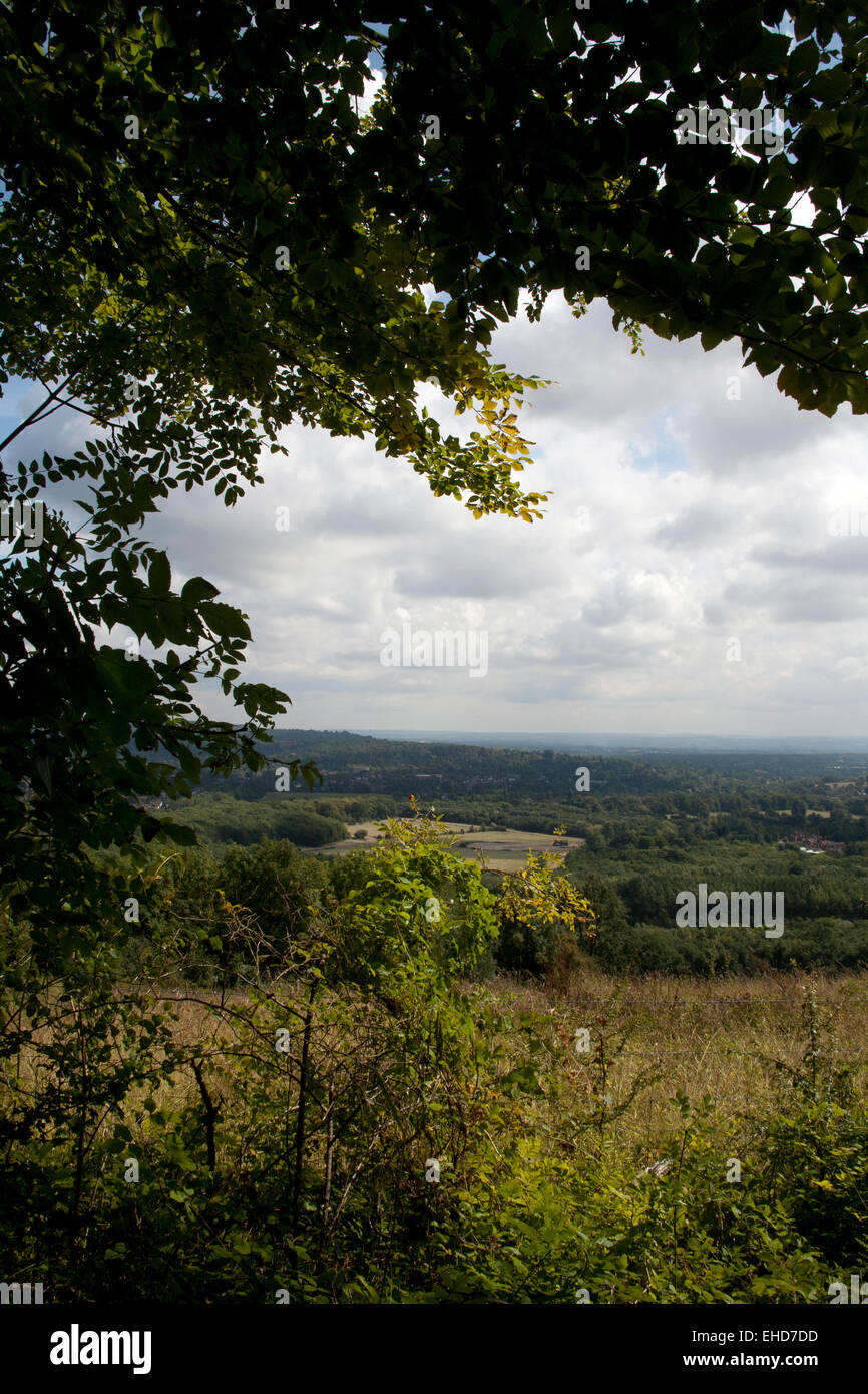 The ridges and valleys of the Weald from the North Downs Way, Surrey UK ...