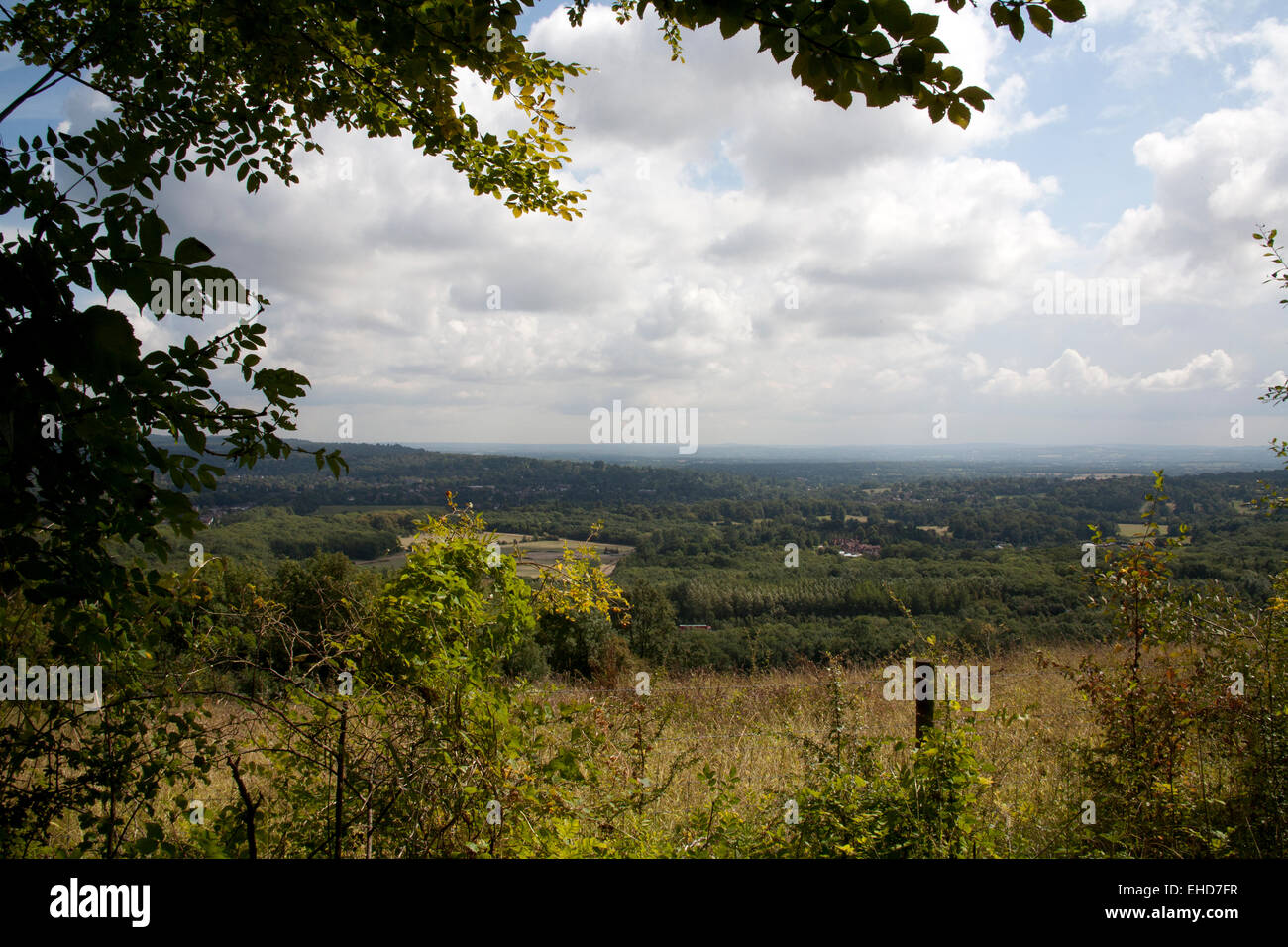The ridges and valleys of the Weald from the North Downs Way, Surrey UK ...