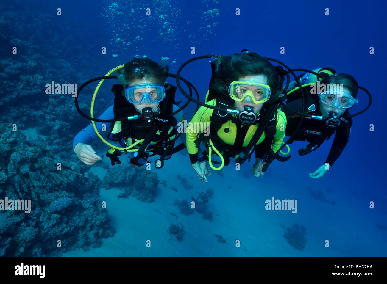 Scuba diving teaching hi-res stock photography and images - Alamy