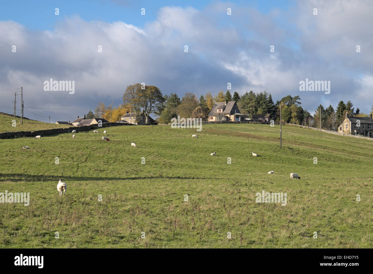Hamlet of yarrow hi-res stock photography and images - Alamy
