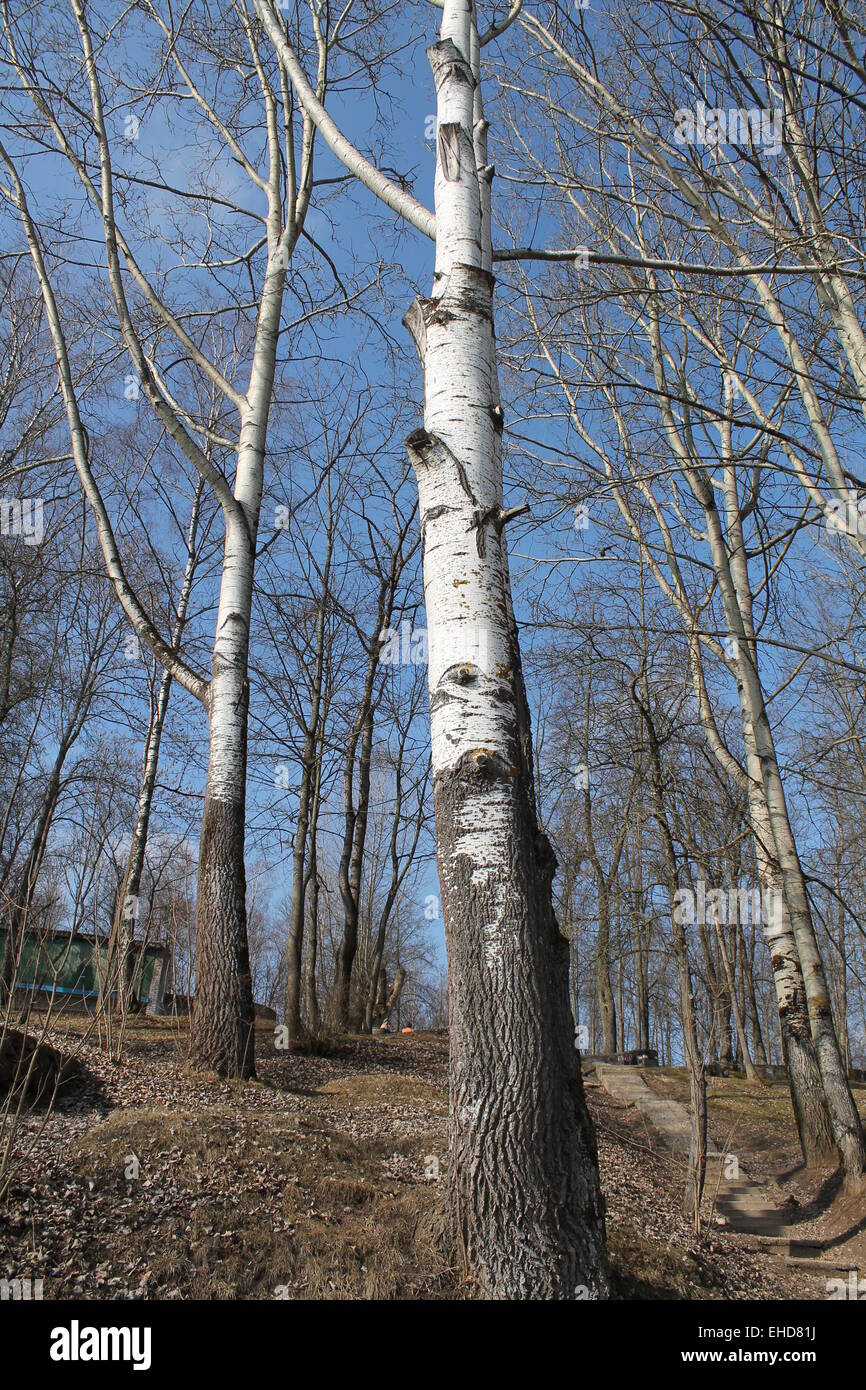 Tall grass slide hi-res stock photography and images - Alamy