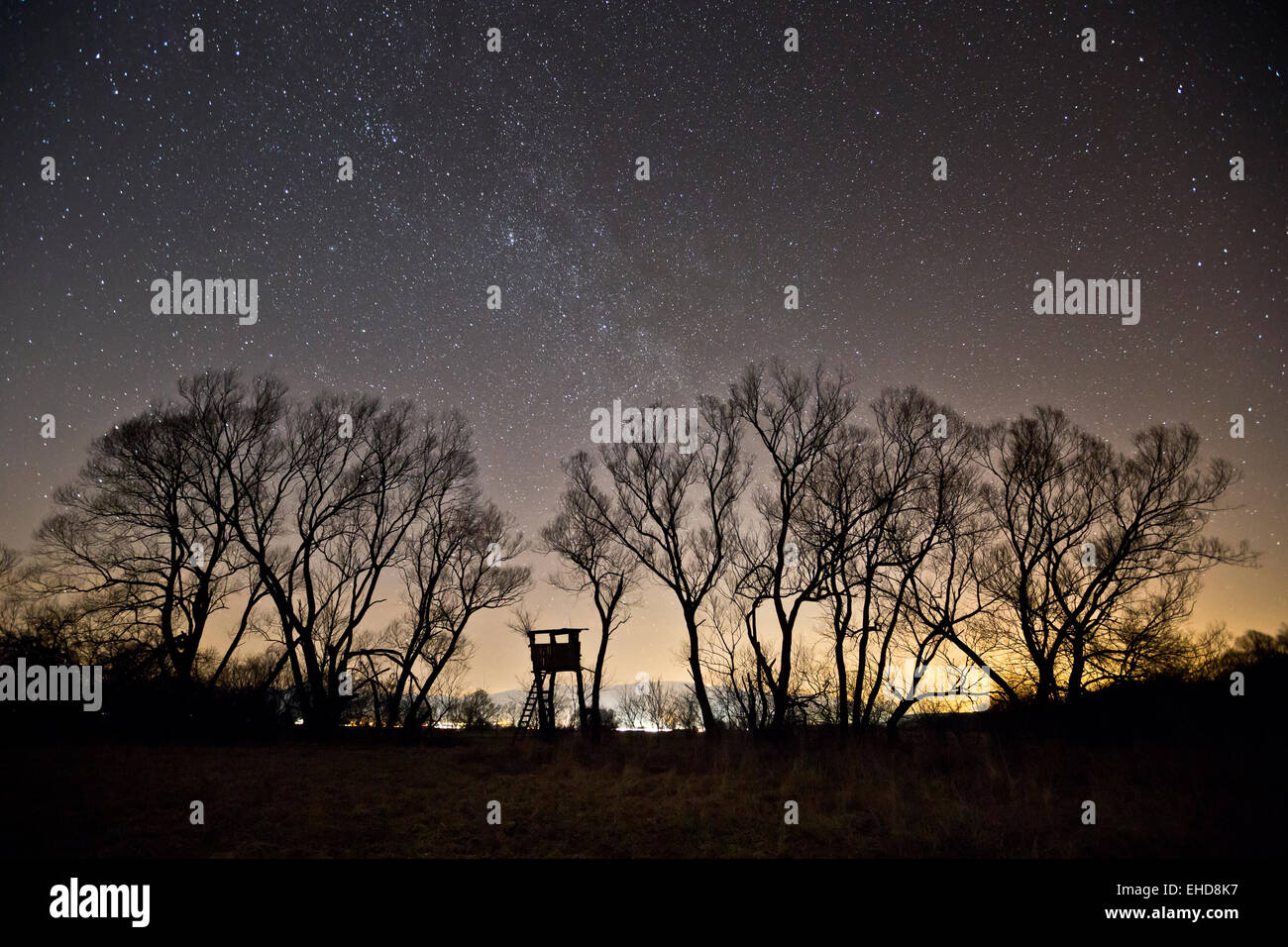 Hunting At Night High Resolution Stock Photography and Images - Alamy