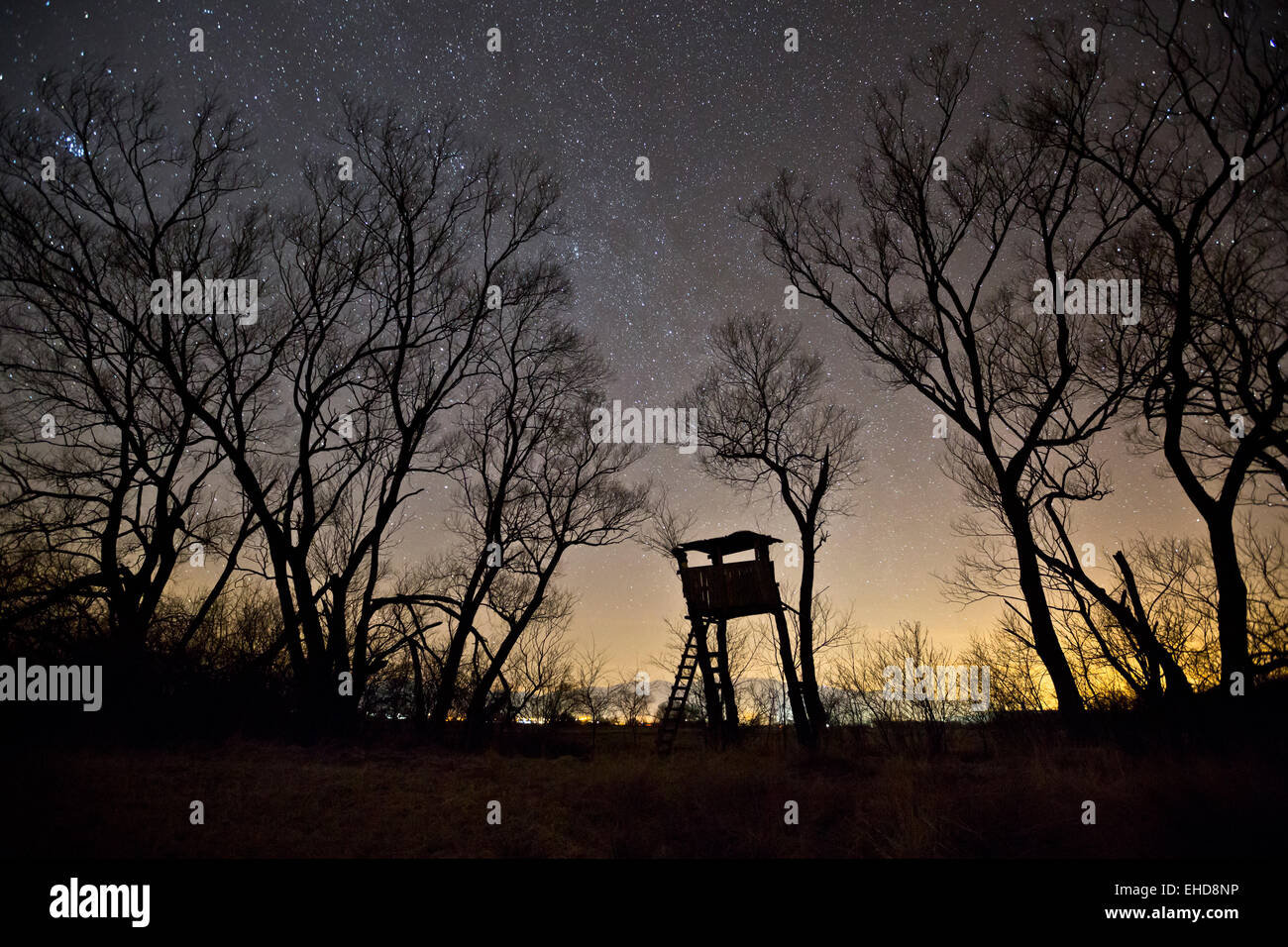 Hunting at night hi-res stock photography and images - Alamy