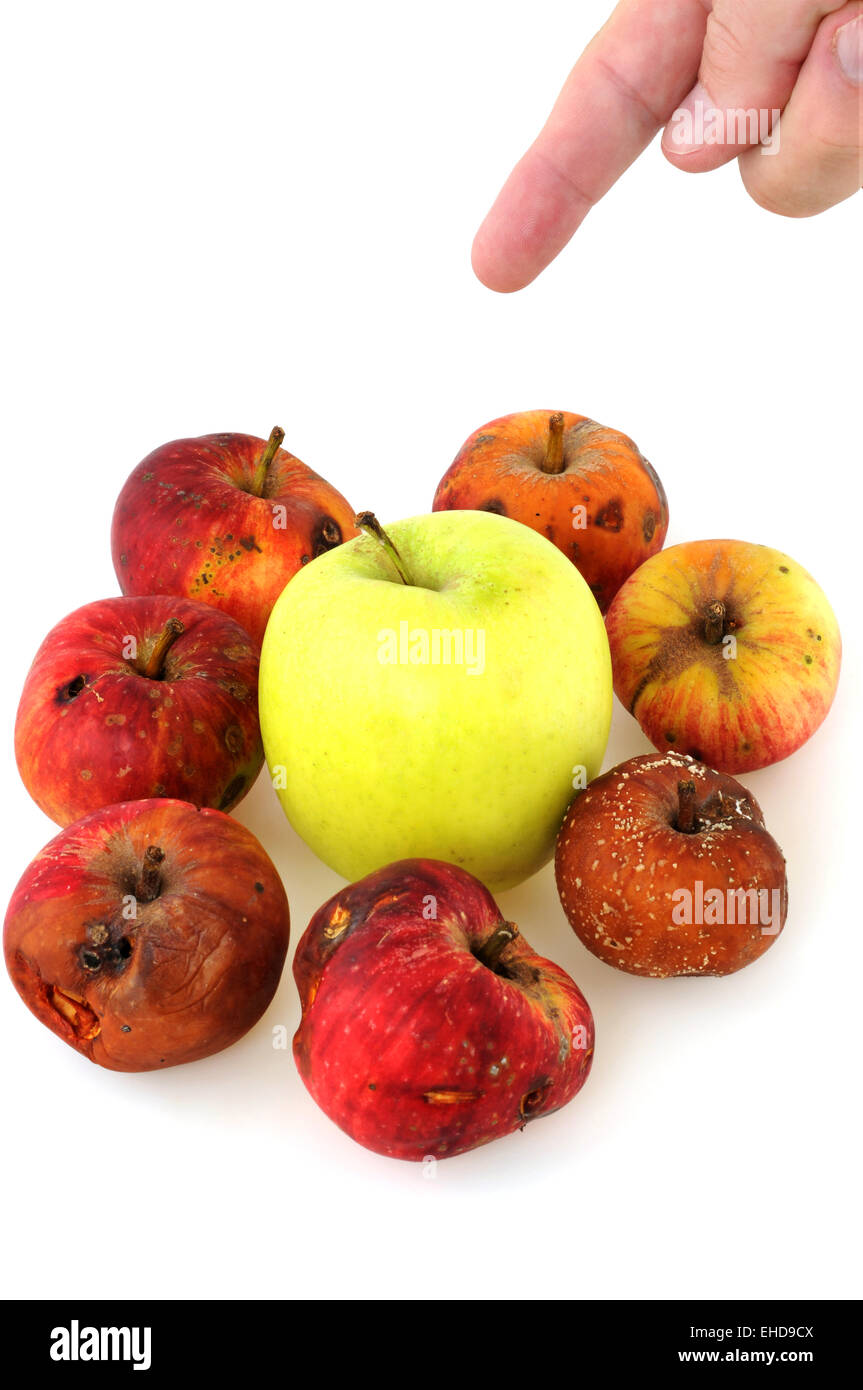 Apple With Rotten Core Stock Photos & Apple With Rotten Core Stock ...