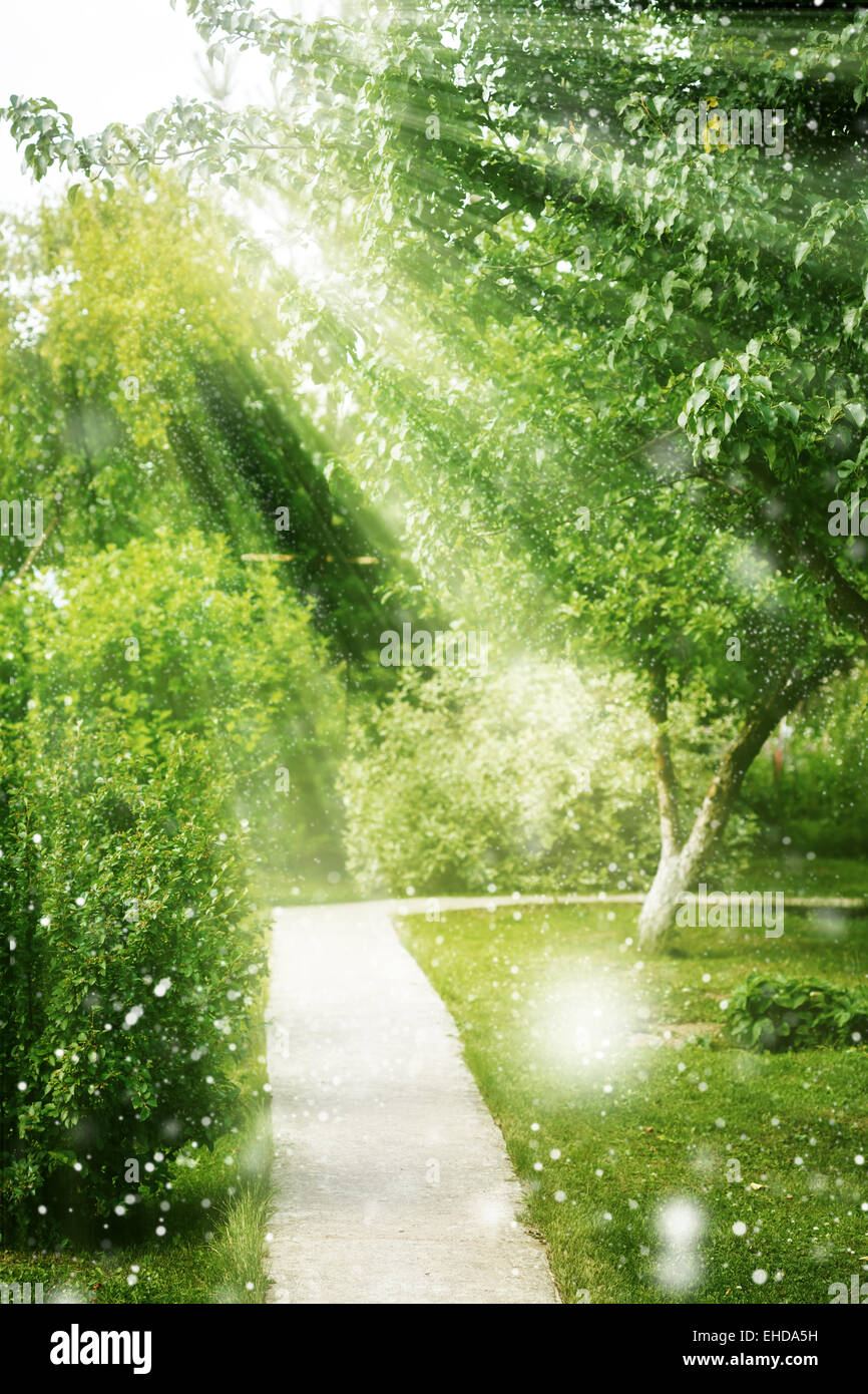 Natural spring background with sun light. Selective focus Stock Photo ...
