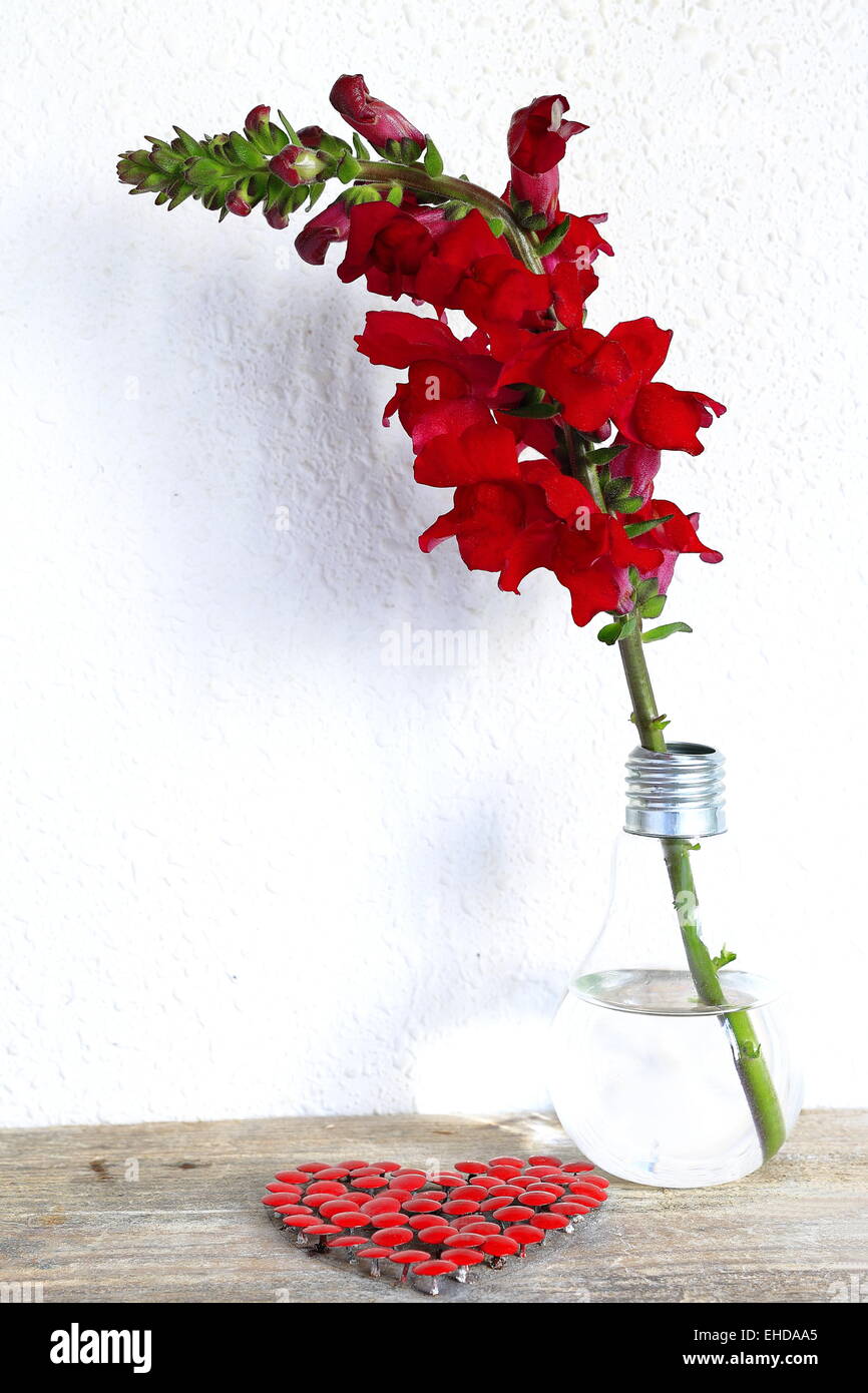 Snapdragon in light bulb Stock Photo - Alamy