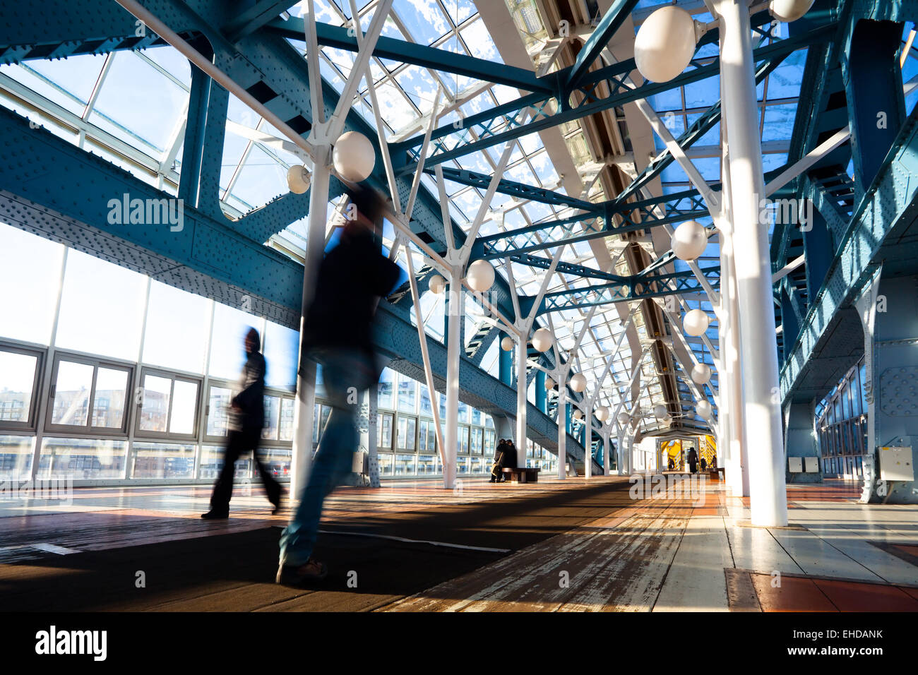 Blue foot hi-res stock photography and images - Alamy