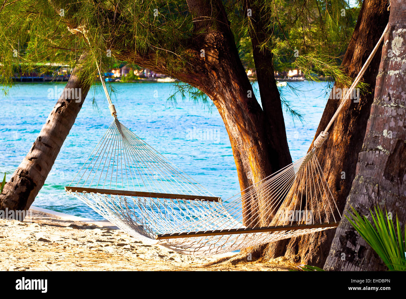 Nice straw hammock on the tropic beach Stock Photo - Alamy