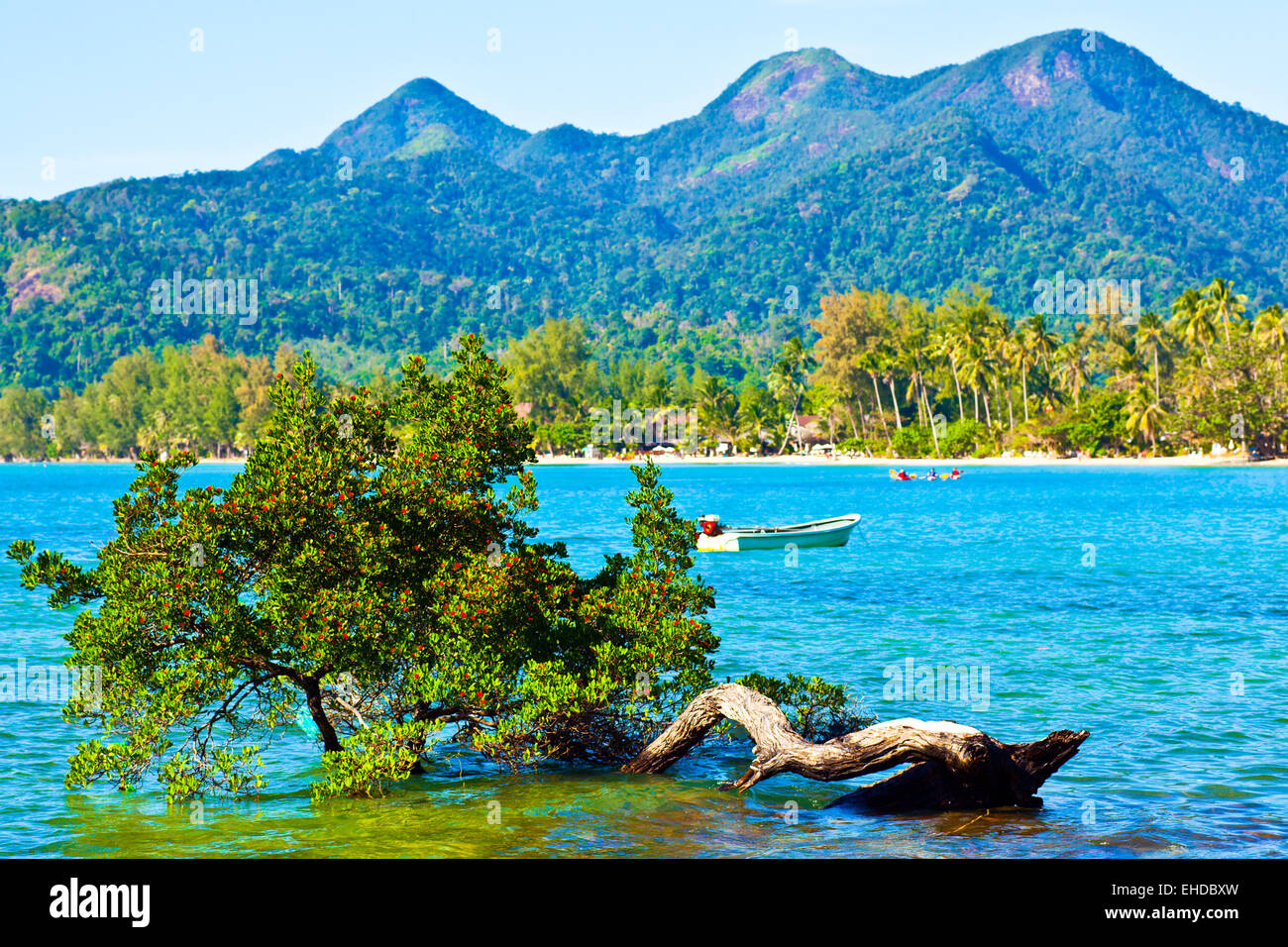 Green tree is the sea. Thailand Stock Photo - Alamy