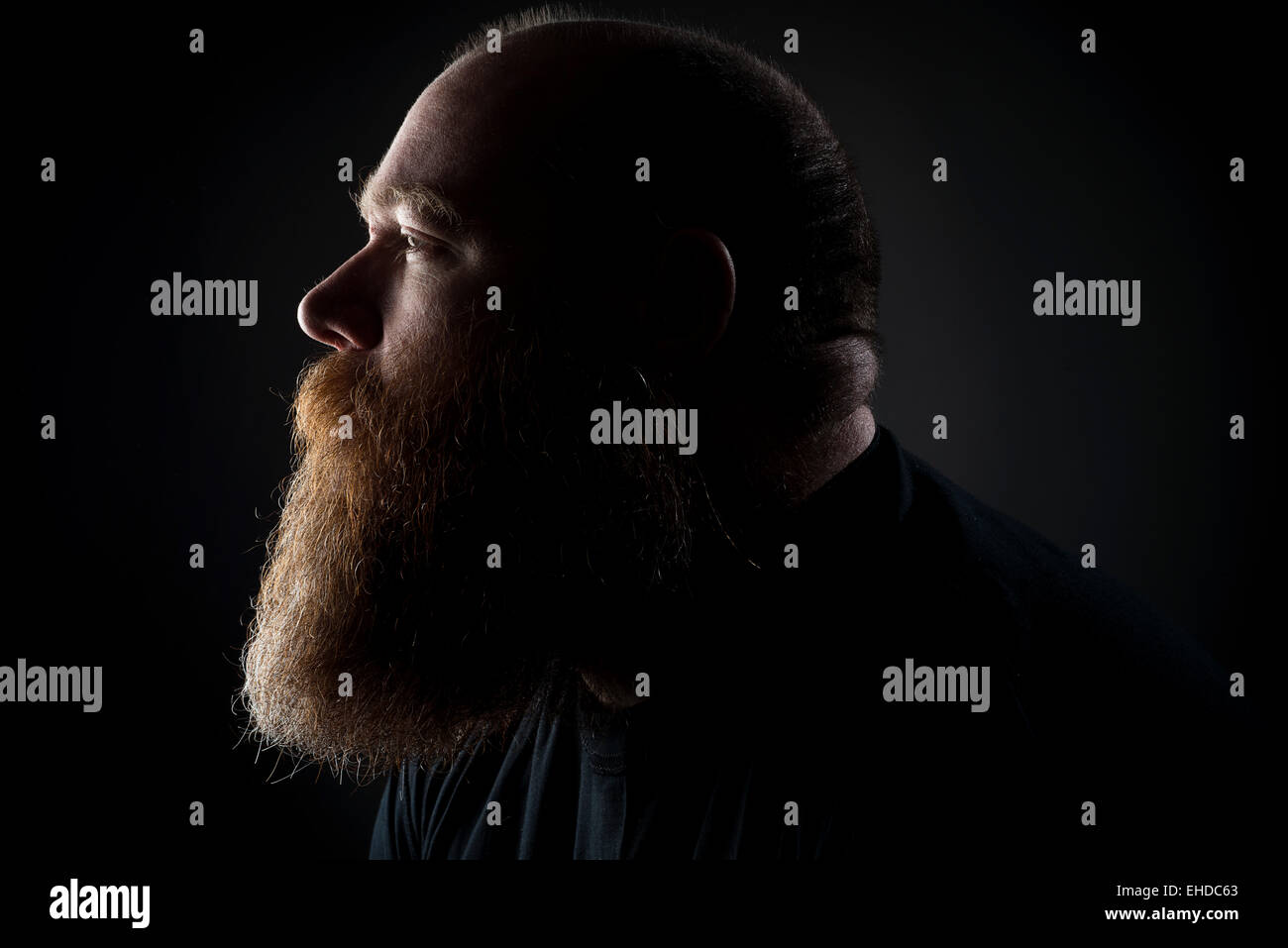 Big ginger beard hi-res stock photography and images - Alamy