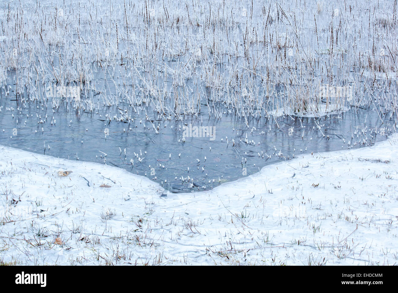 Forming forms hi-res stock photography and images - Alamy