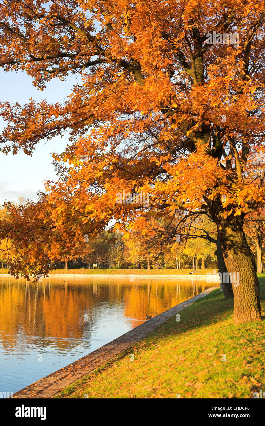 Ripley lake hi-res stock photography and images - Alamy