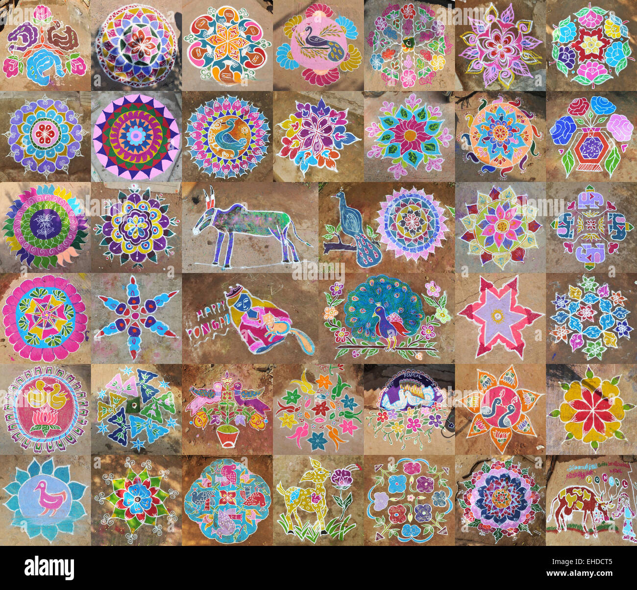 Kolams in the village of Kuilapalayam, during Pongal harvest festival ...