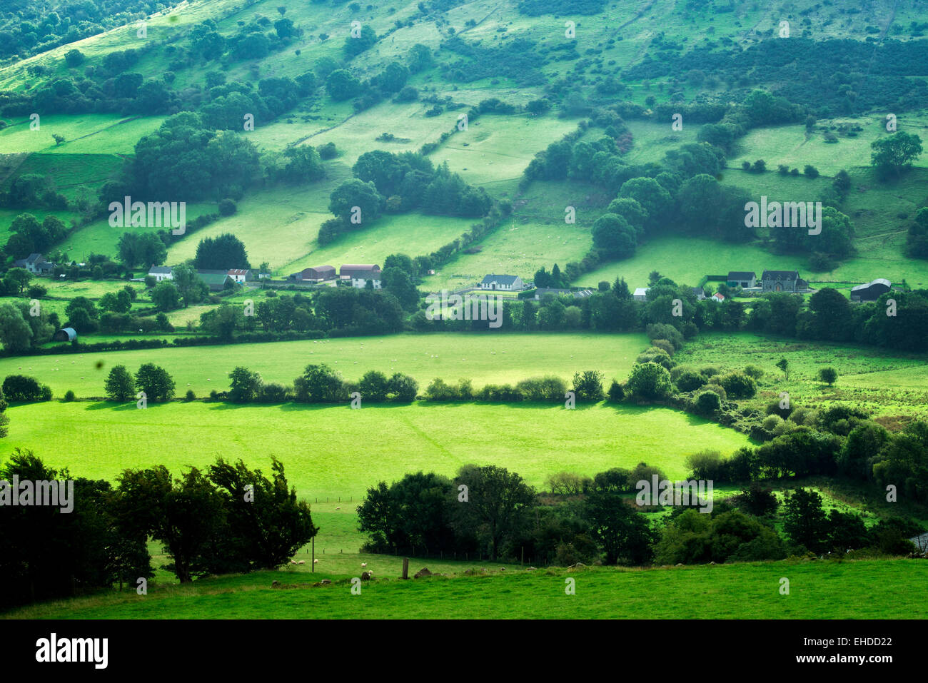 Glenariff Forest Park Ireland Stock Photos & Glenariff Forest Park ...