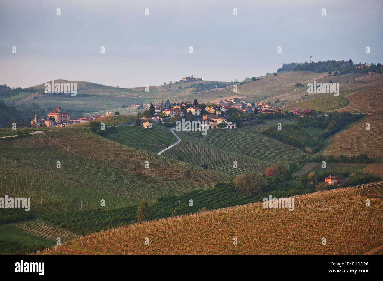 Taly hi-res stock photography and images - Alamy