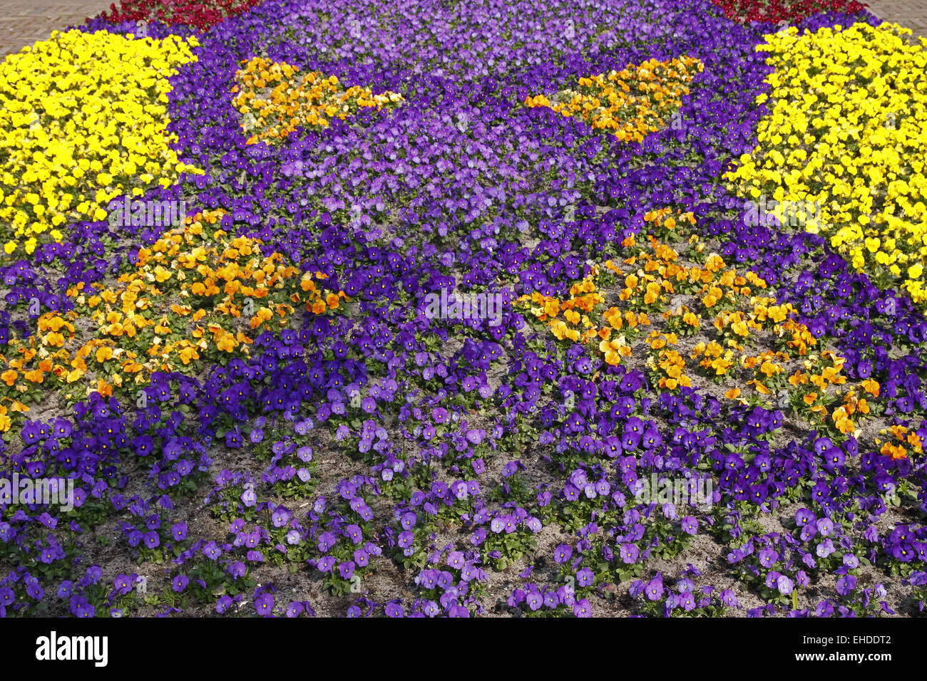 Pansy mix hi-res stock photography and images - Alamy