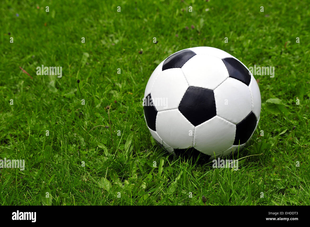 World Cup football field Stock Photo - Alamy