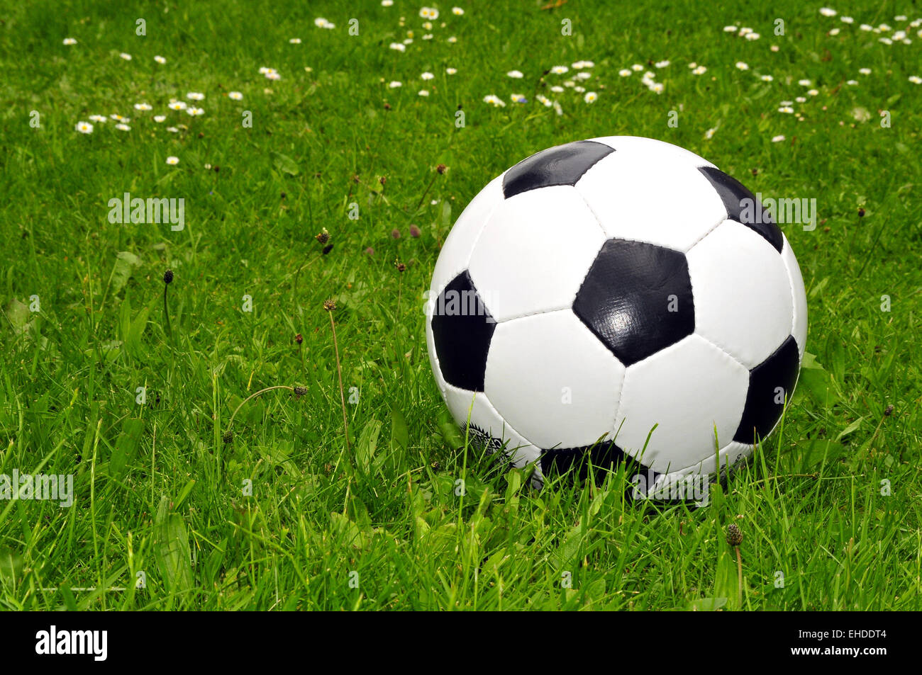 Cup field hi-res stock photography and images - Alamy