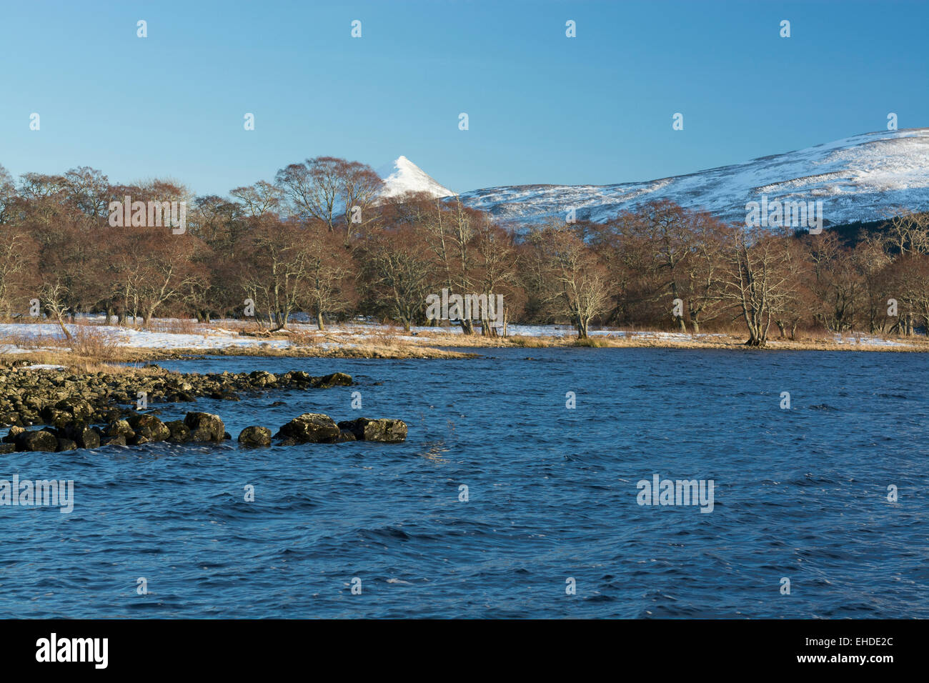 Scottish highland trees hi-res stock photography and images - Alamy