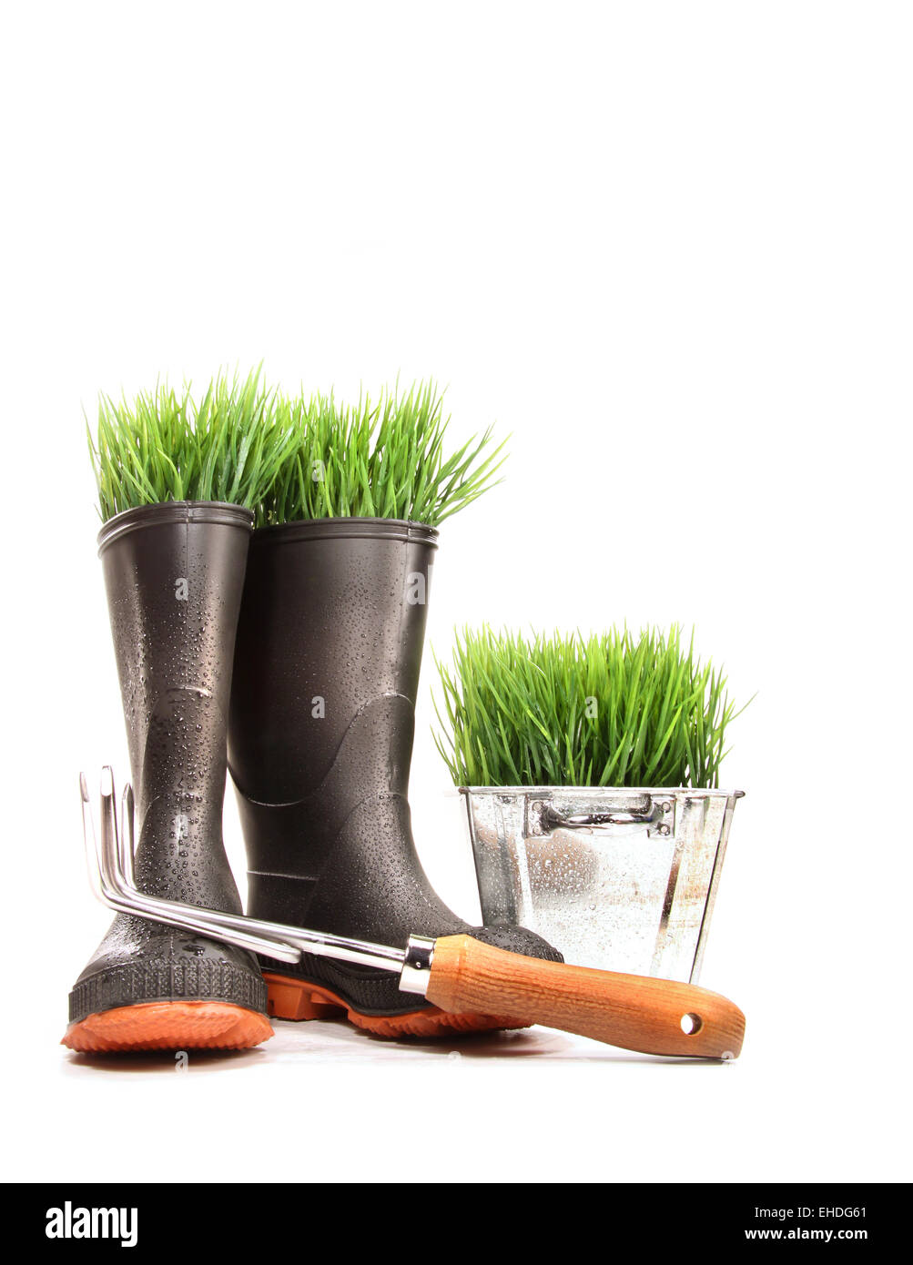 Conservation tool Cut Out Stock Images & Pictures - Alamy