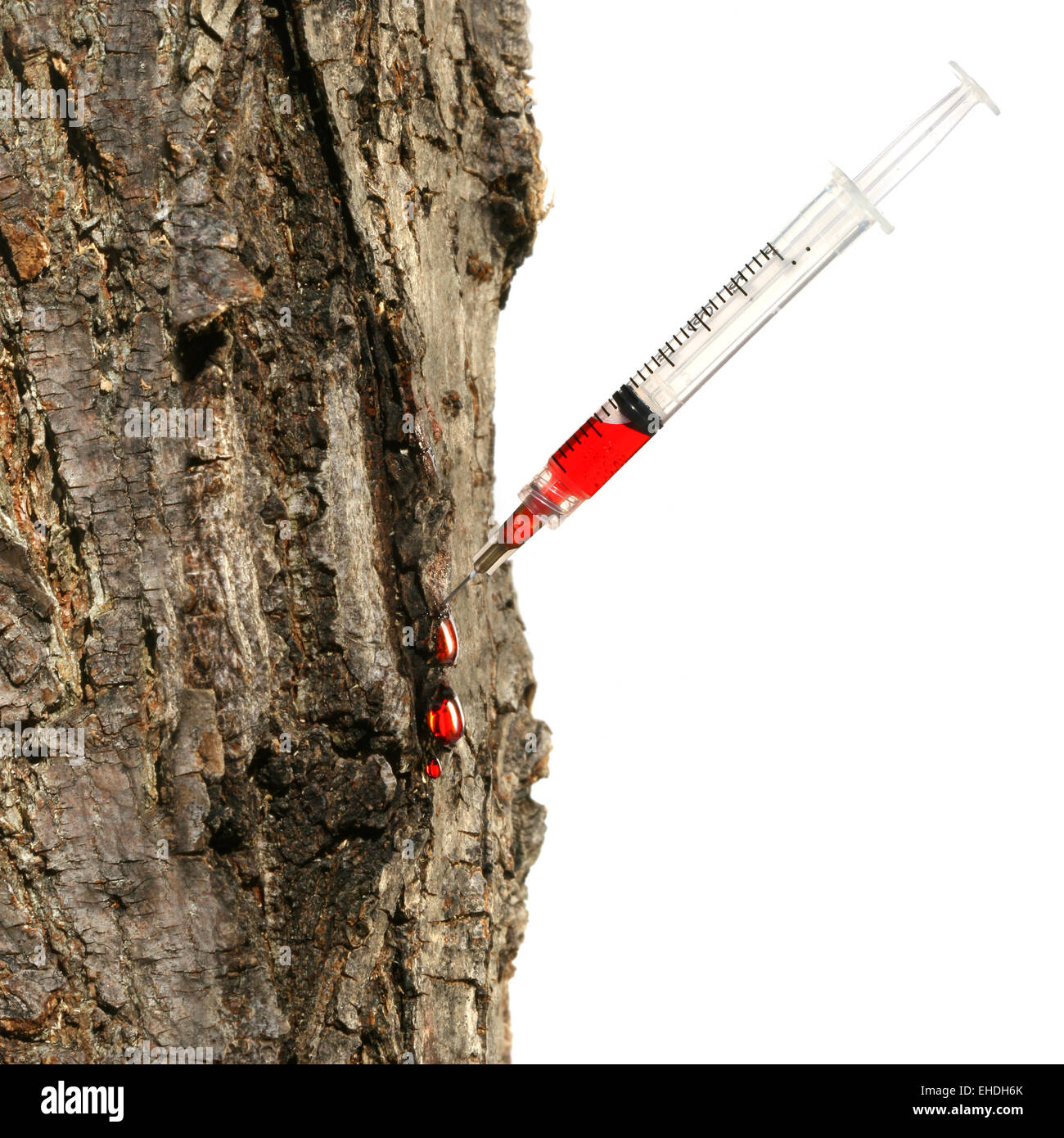 Tree injection hi-res stock photography and images - Alamy