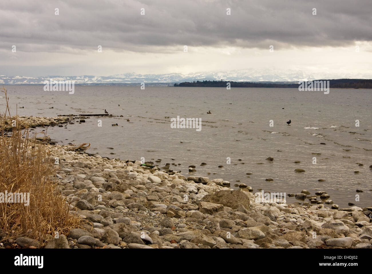 Bodensee, Deutschland, Lake Constance, Germany Stock Photo - Alamy