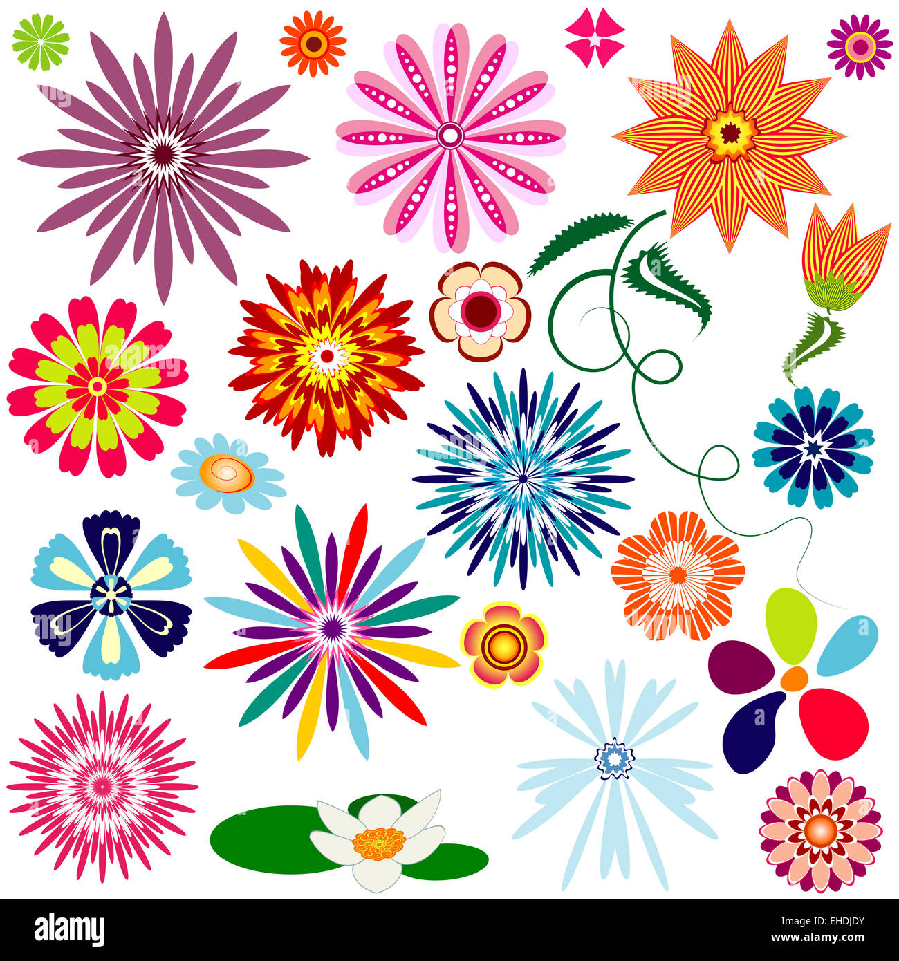 Collection of flowers hi-res stock photography and images - Alamy