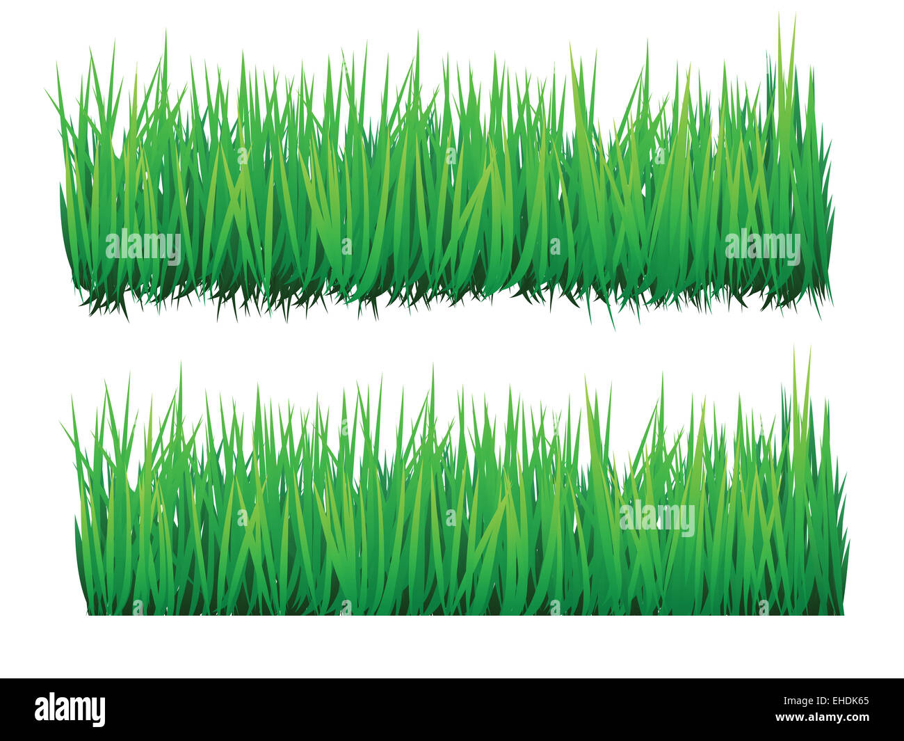Rice paddy border Cut Out Stock Images & Pictures - Alamy