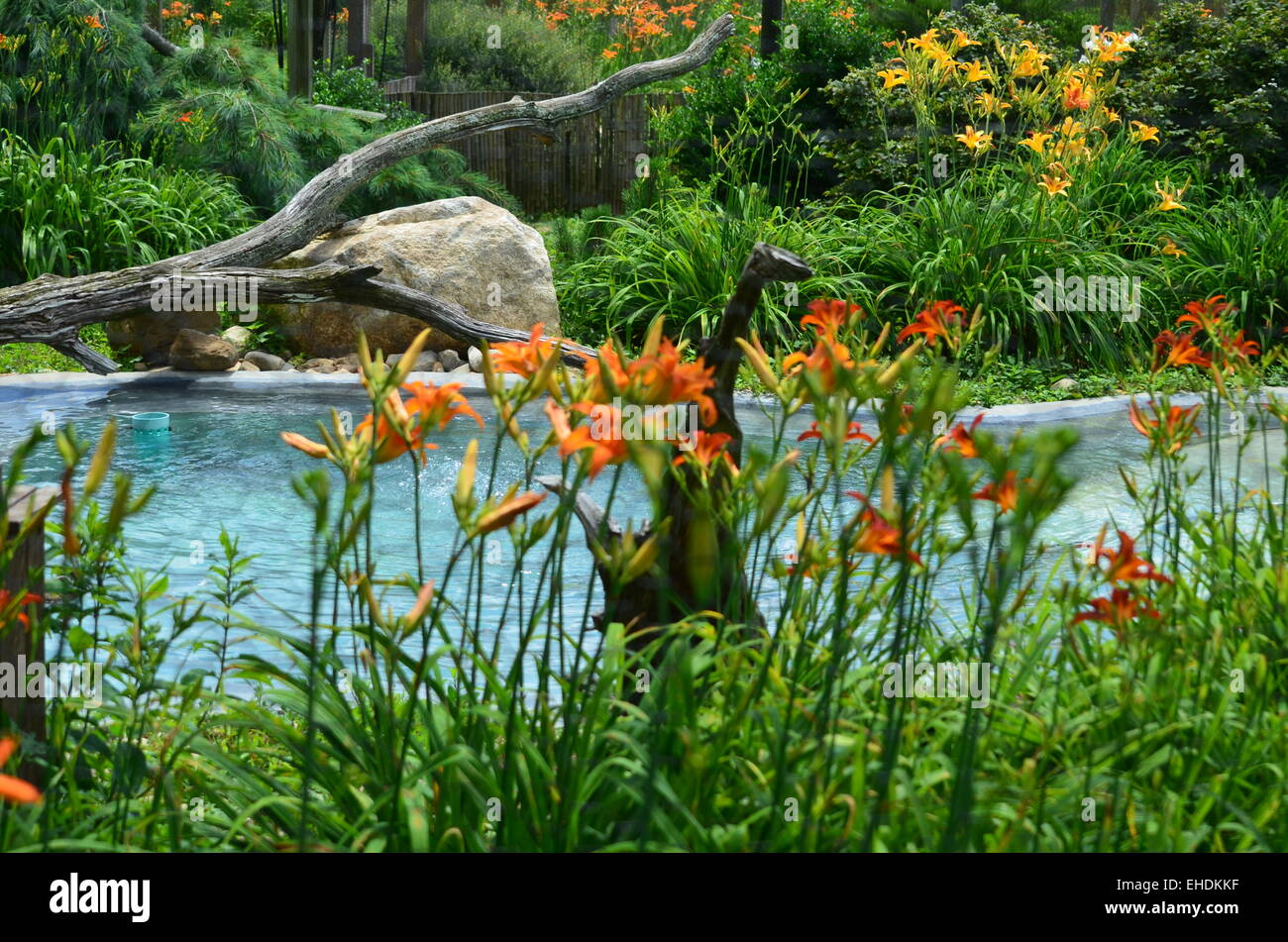 Water landscape hi-res stock photography and images - Alamy